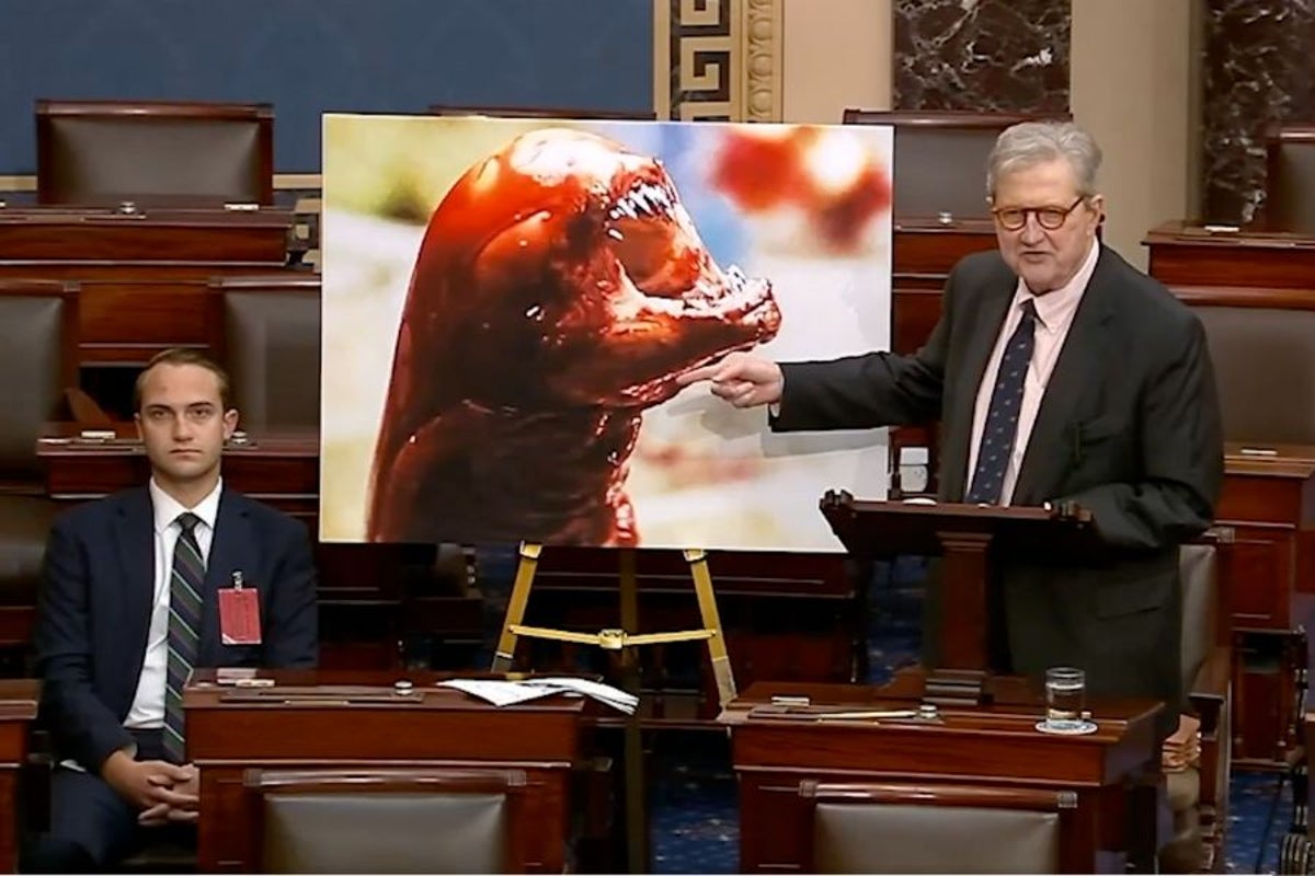 Republican senator suggests eating radioactive shrimp will turn you ...